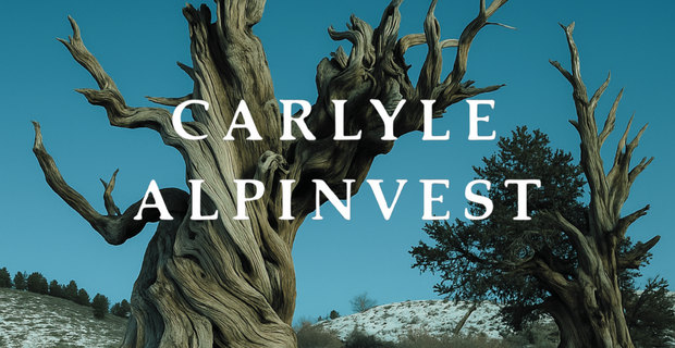 Returns Revealed: AlpInvest Secondary Funds | SecondaryLink